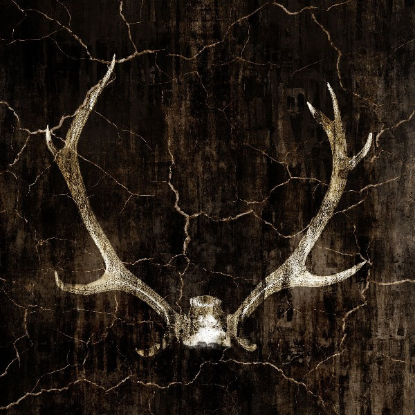 Vintage Antlers – High Camp Home